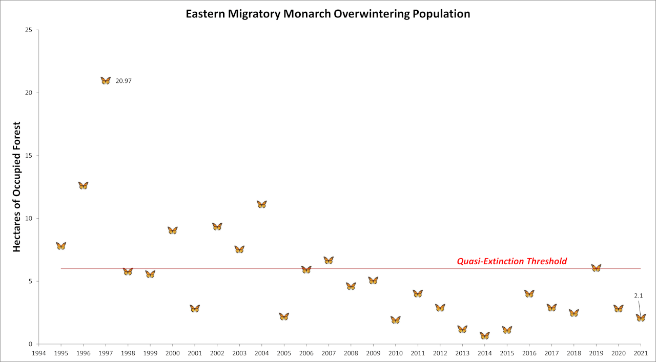 Farmers’ Battle Against, and Now For, Milkweed - Modern Farmer