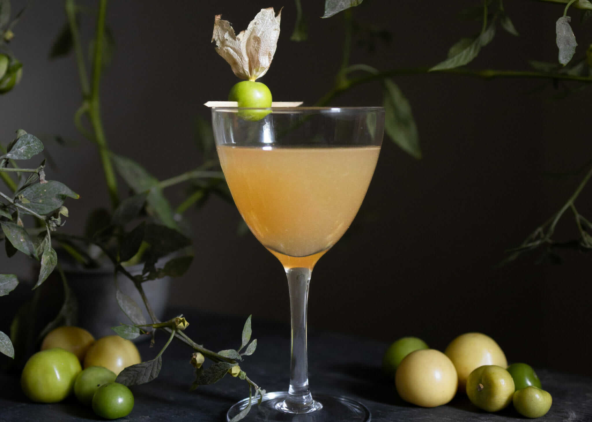 A Celebration of Husked Fruits in Cocktails - Modern Farmer