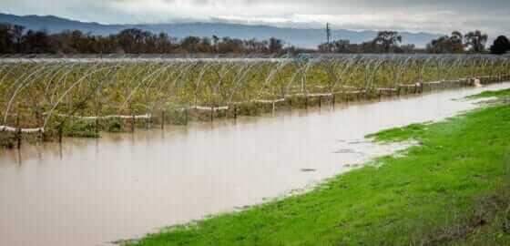 California Farms and Farmworkers Attempt to Recover From Record Floods ...
