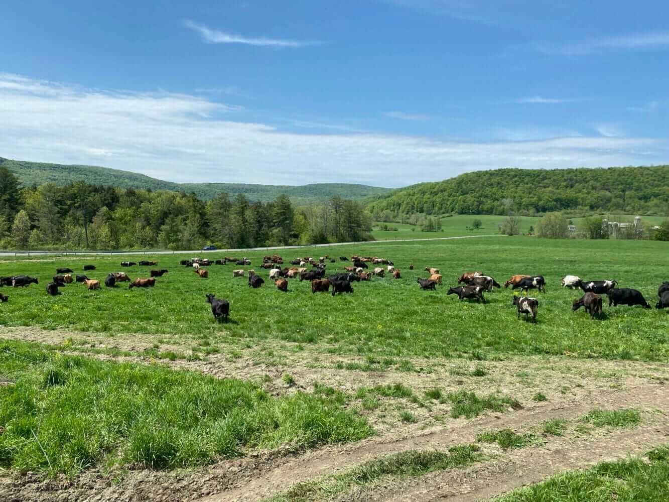 Sustainable Farmers See Promise in New Financing Options - Modern Farmer