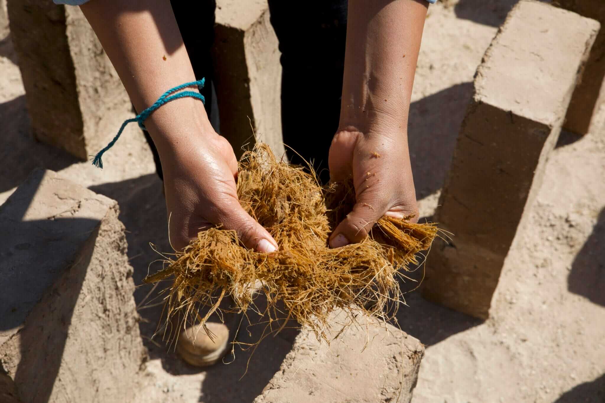Meet the Indigenous Engineer Upcycling Tequila Waste into Sustainable ...