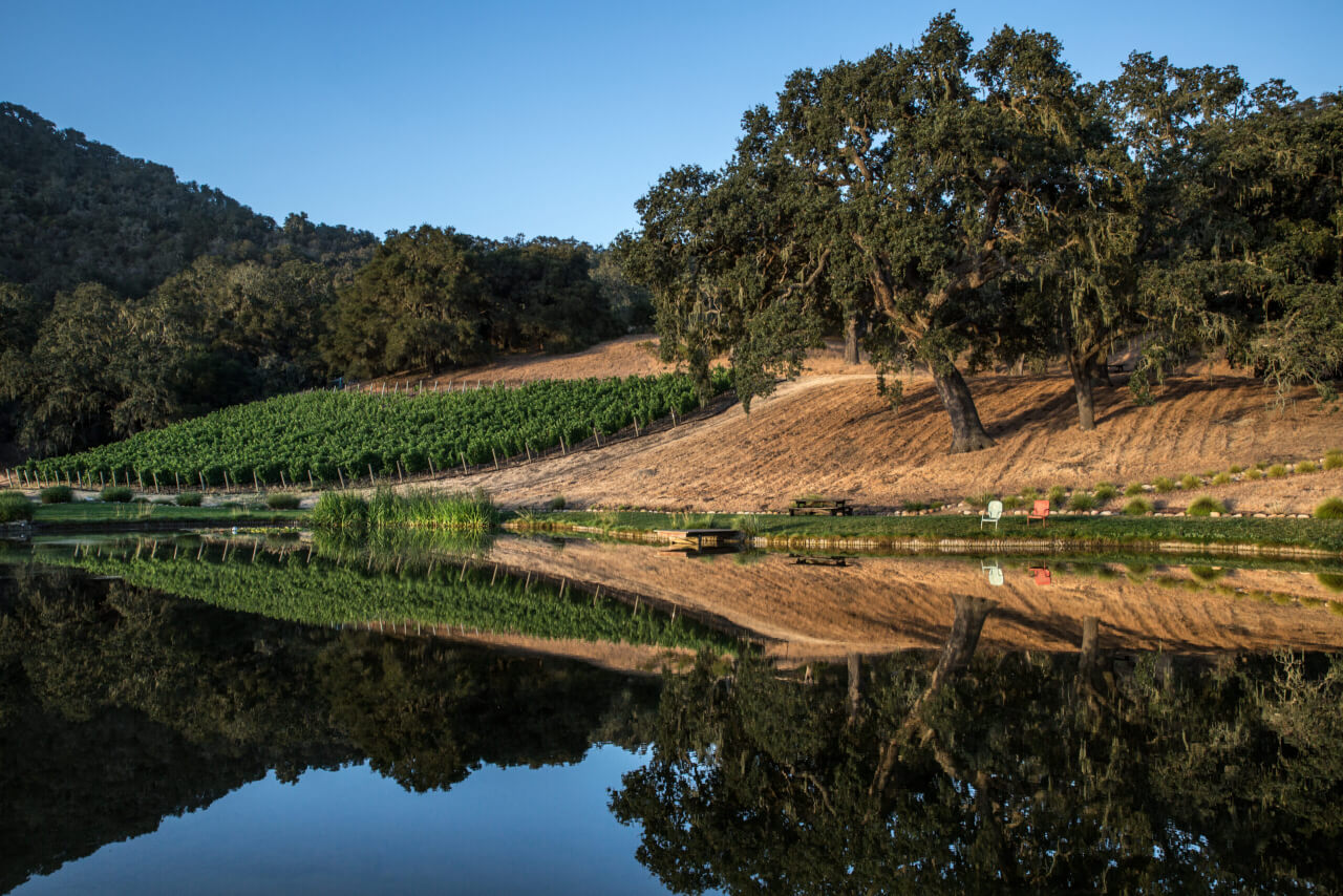 To Cultivate Modern Sustainability, A California Wine Region is Turning ...