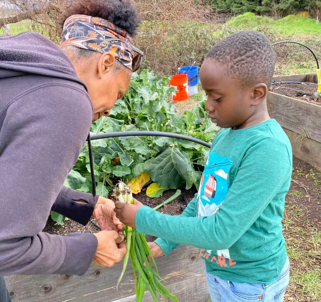 Community Organizations Turn to Gleaning to Redistribute Local Produce ...