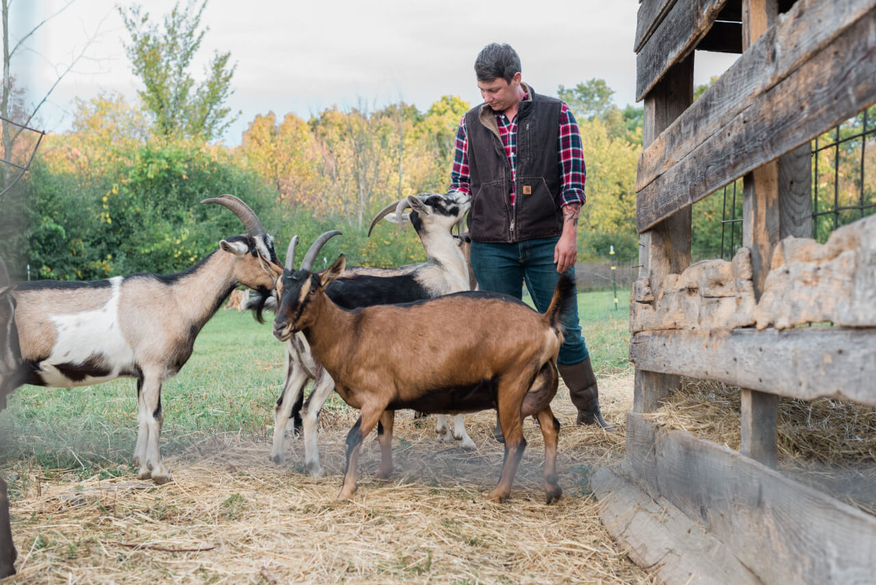 Meet the Trans Dairy Farmer Who Wants to Be the Role Model He Never Had ...