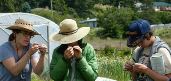 This Farm School’s Primary Crop is Students - Modern Farmer