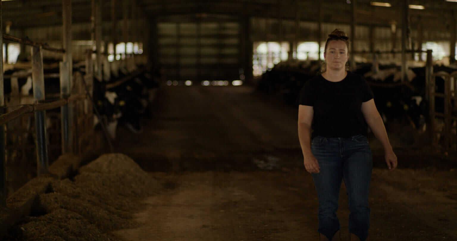 Cows Have a Methane Problem. Dairy Farmers are Hoping New Innovations ...
