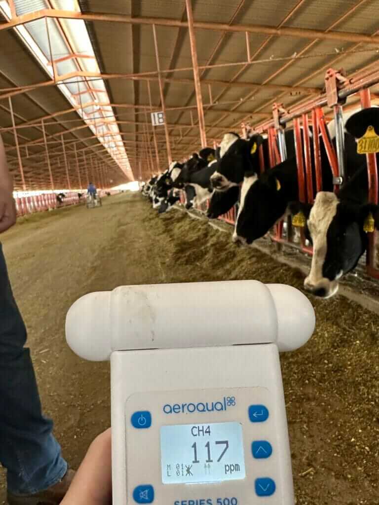 Cows Have a Methane Problem. Dairy Farmers are Hoping New Innovations ...