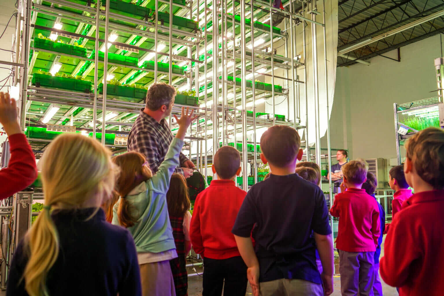 Turning Empty Offices Into Vertical Farms - Modern Farmer