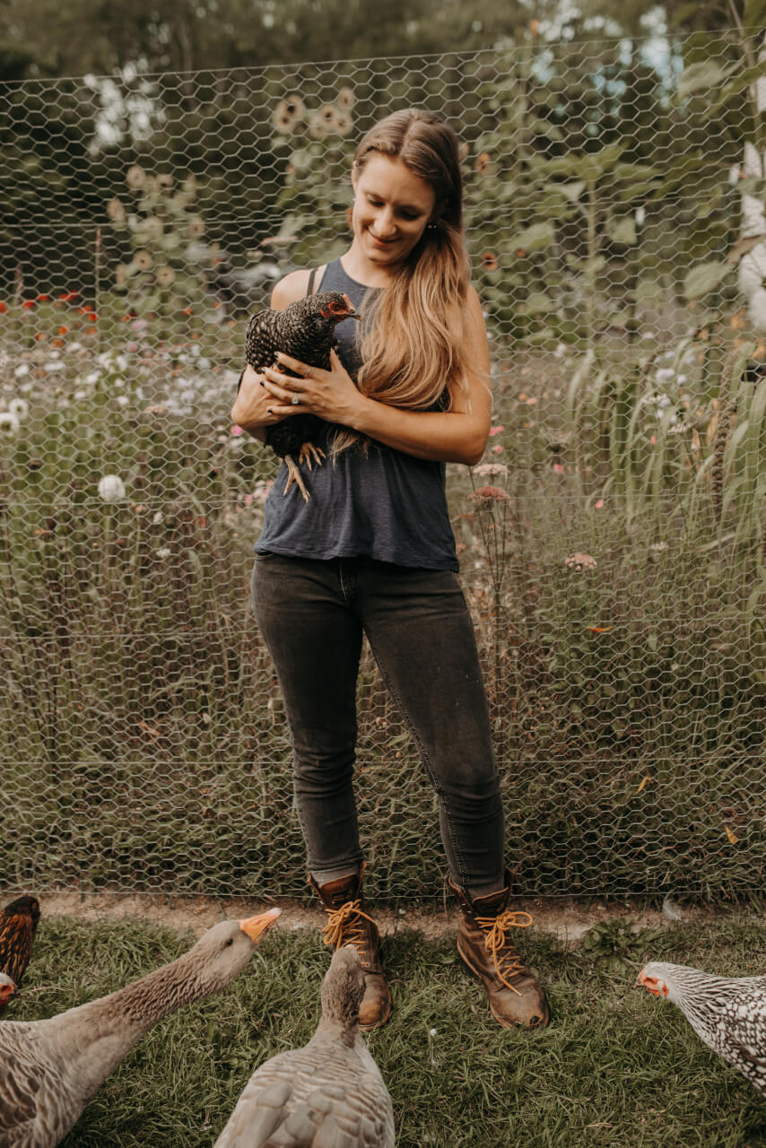 Impulse Chickens and Trendy Goats: The Pitfalls of Modern Homesteading ...