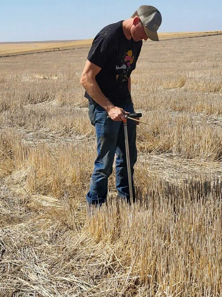 To Reverse a Troubling Trend, Farmers Are Adding Rocks to Their Fields ...