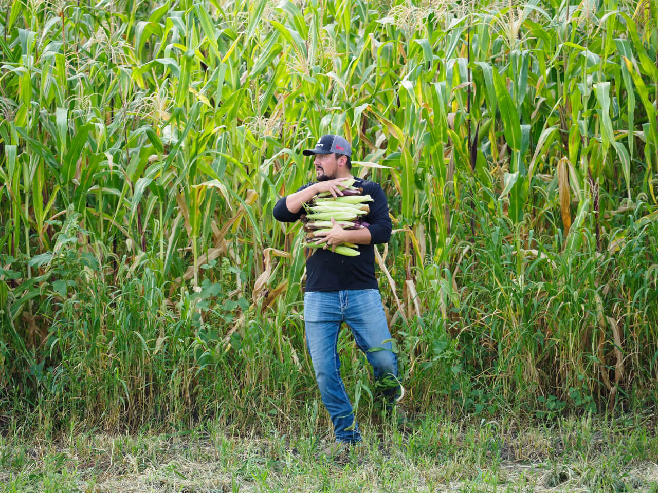 These Nebraska Tribes Are Buying Back Farmland and Attempting to ...