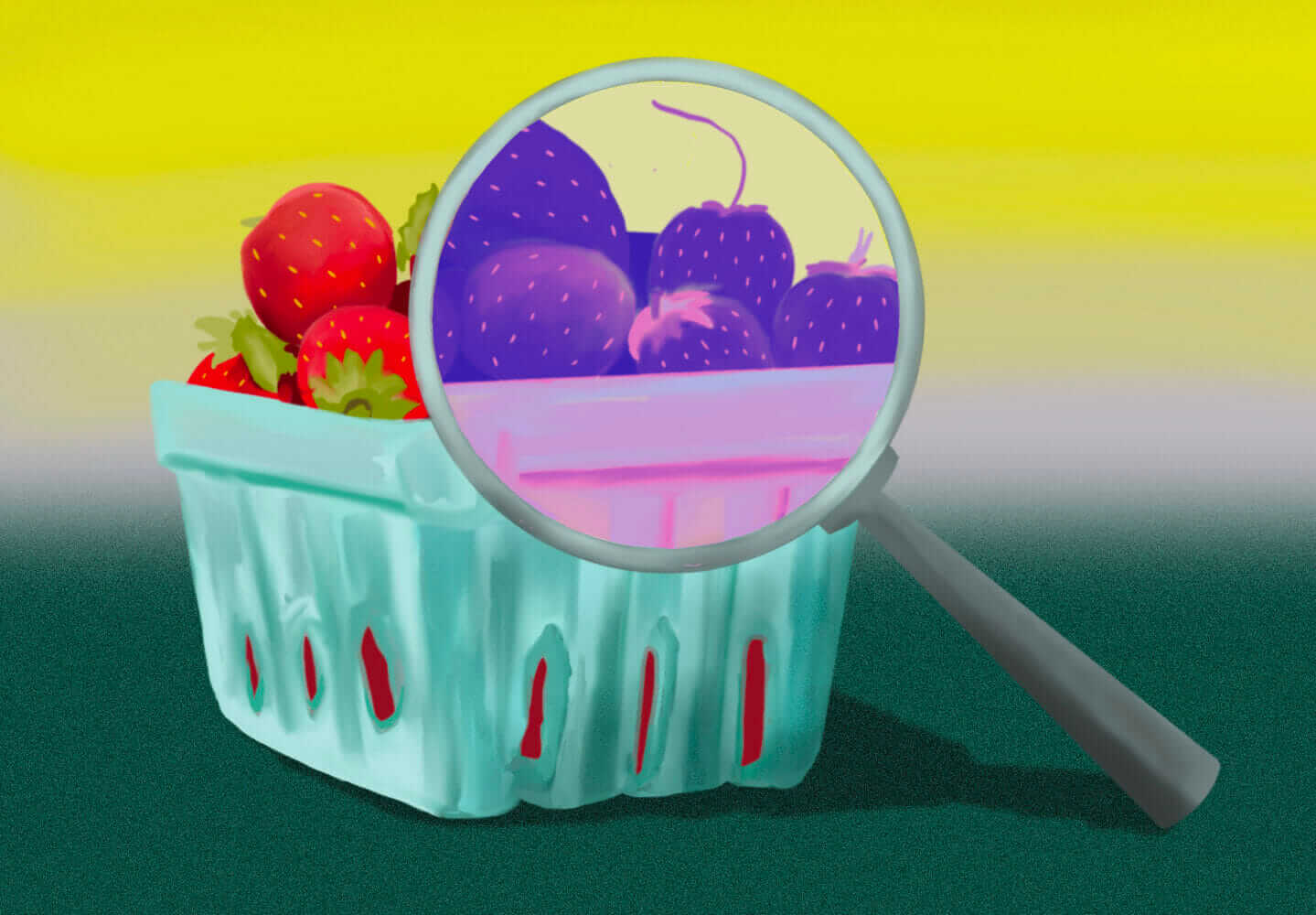 Can You Trust the Organic Food Label? - Modern Farmer