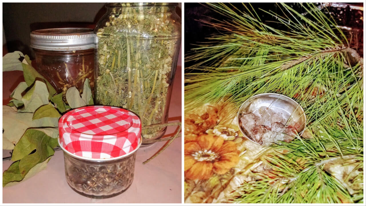 In Search of Sustainable Fragrance - Modern Farmer