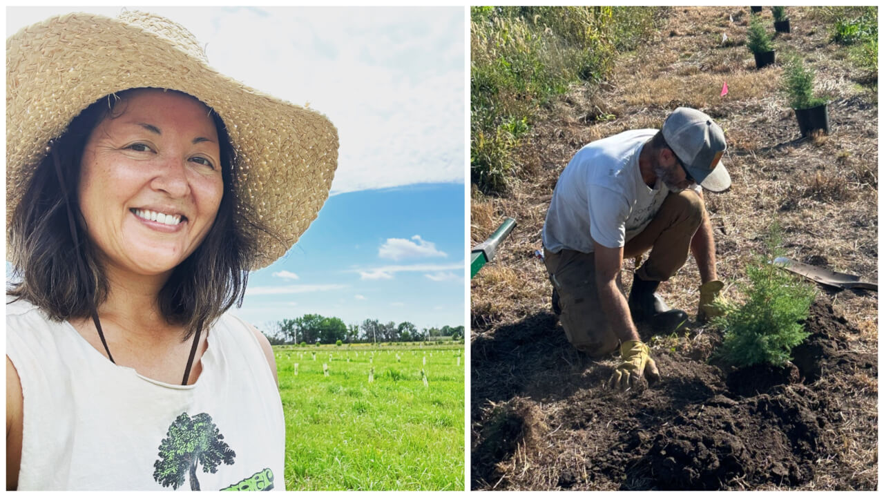 On the Ground With the Midwest Farmers Going All-In On Agroforestry ...