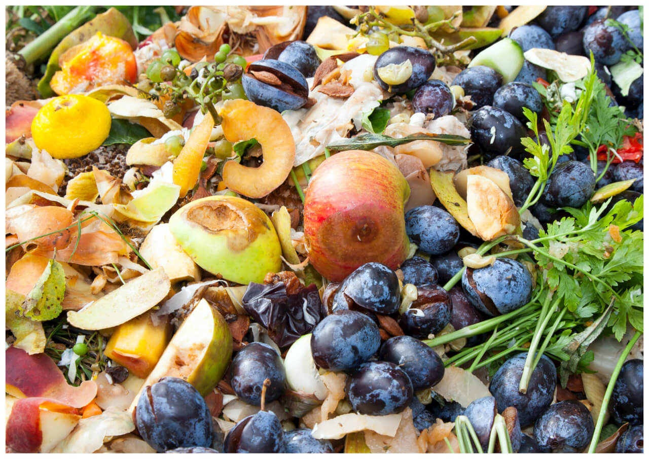 A Bulk of Food Waste Happens at Home. Here’s How to Cut Your Footprint ...
