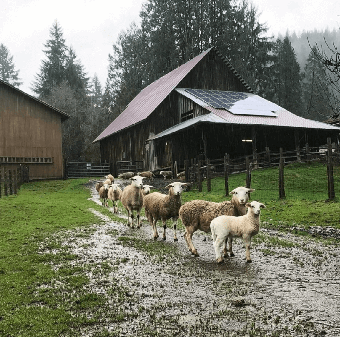 The Business Behind the Farm Visit - Modern Farmer