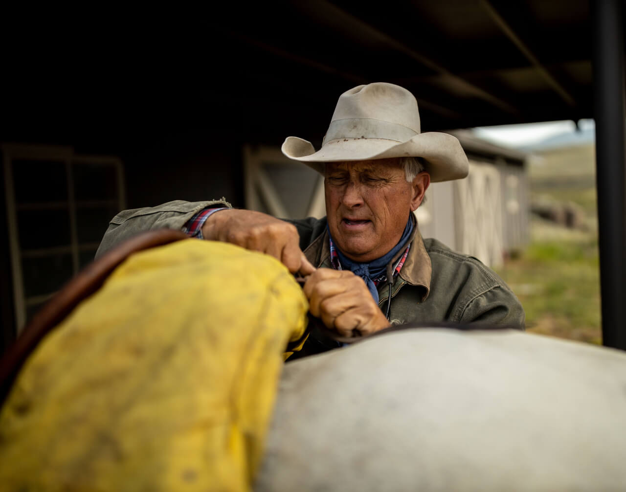 Meet the Ranchers Working to Sustain the World's Largest Elk Population ...