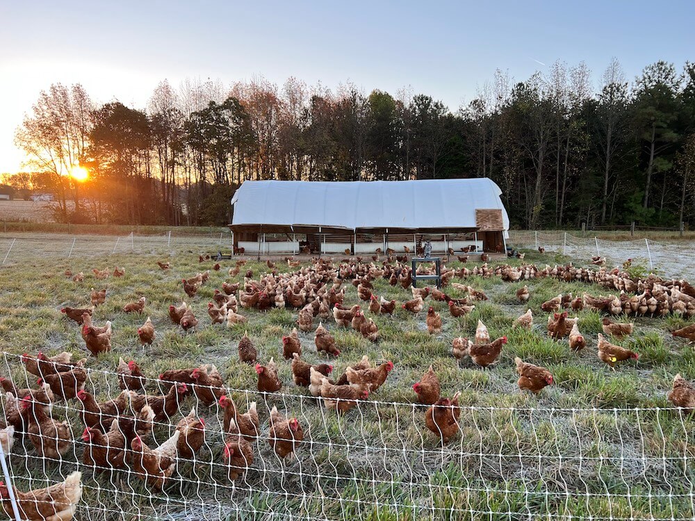 Chris Newman Wants to Help You Start Farming—Without Ruining Your Life ...