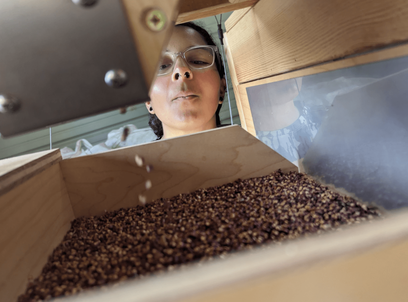 On the Ground With Growers Working to Localize Seed Production - Modern ...