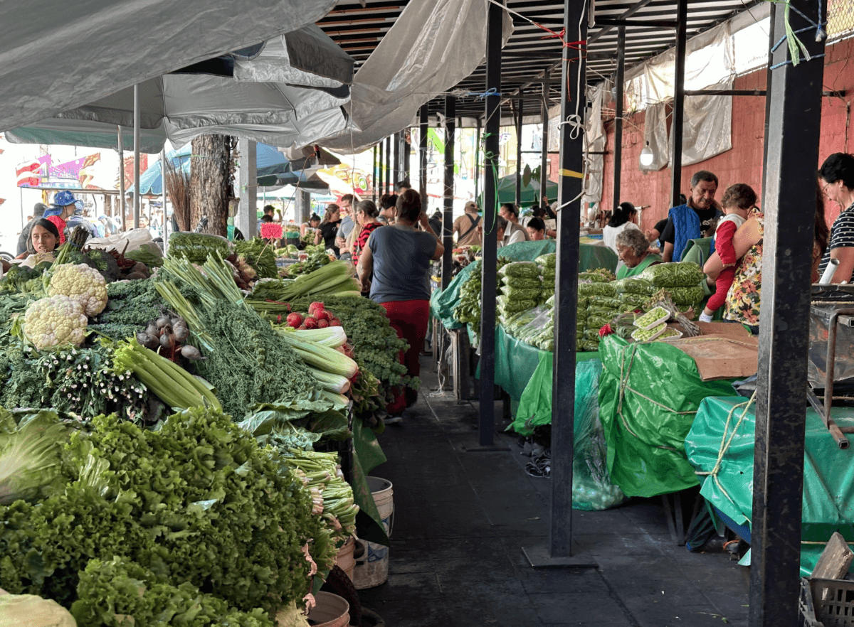 Mexico’s Floating Gardens Are an Ancient Wonder of Sustainable Farming ...