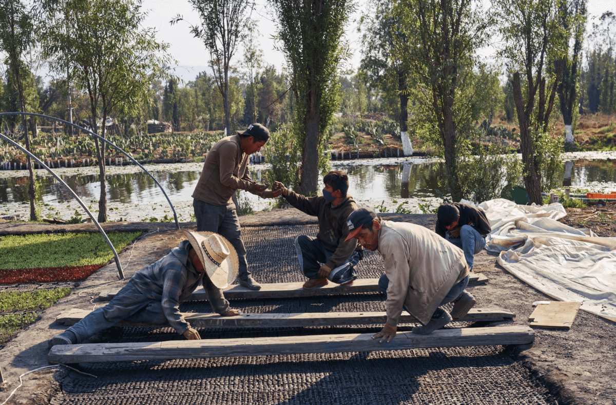 Mexico’s Floating Gardens Are an Ancient Wonder of Sustainable Farming ...