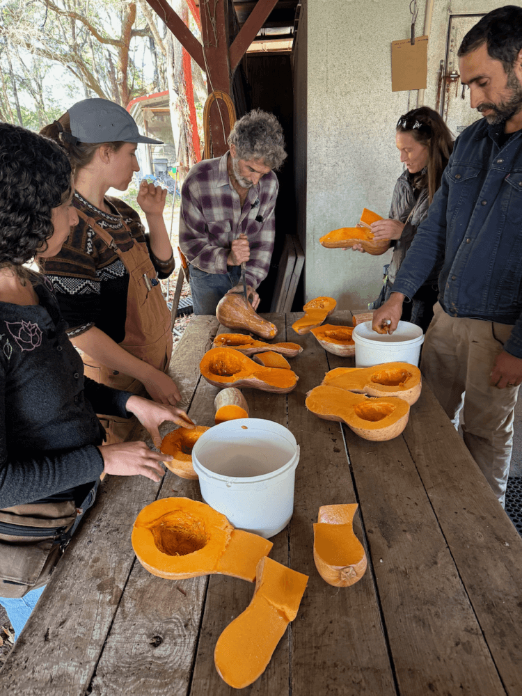 On the Ground With Growers Working to Localize Seed Production - Modern ...