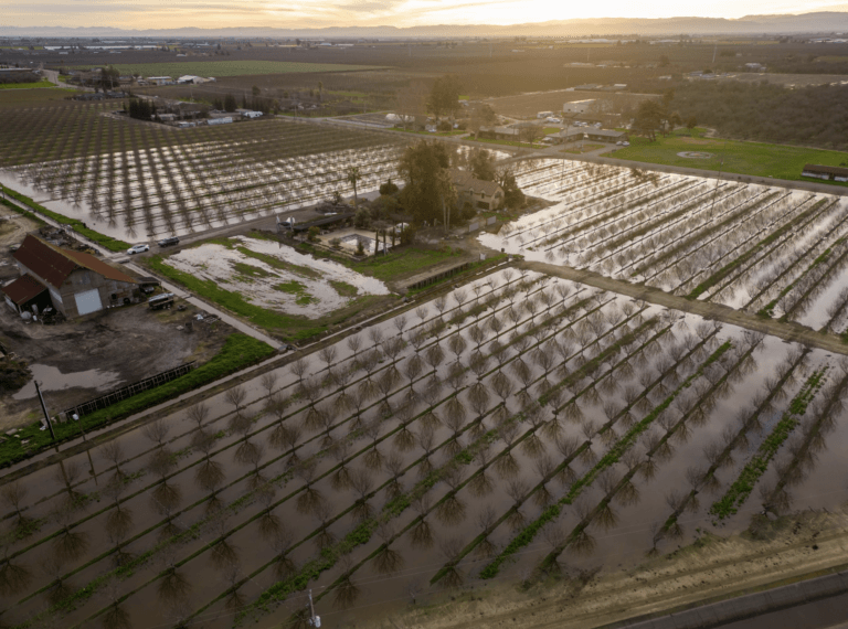 Are Flooded Fields and Orchards the Answer to California’s Groundwater ...