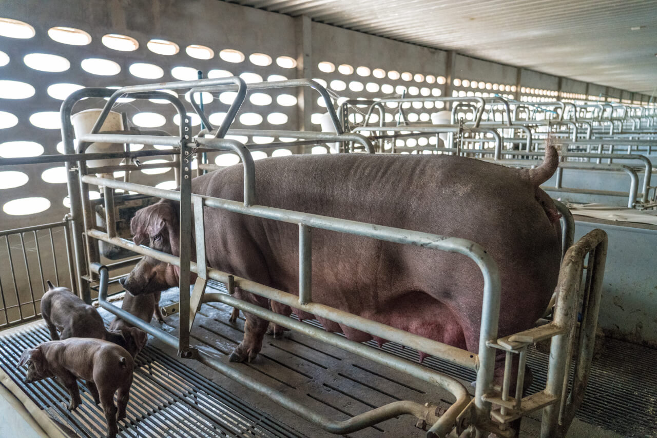 The House Proposed a New Farm Bill. This Will Affect Your Life—Even if ...