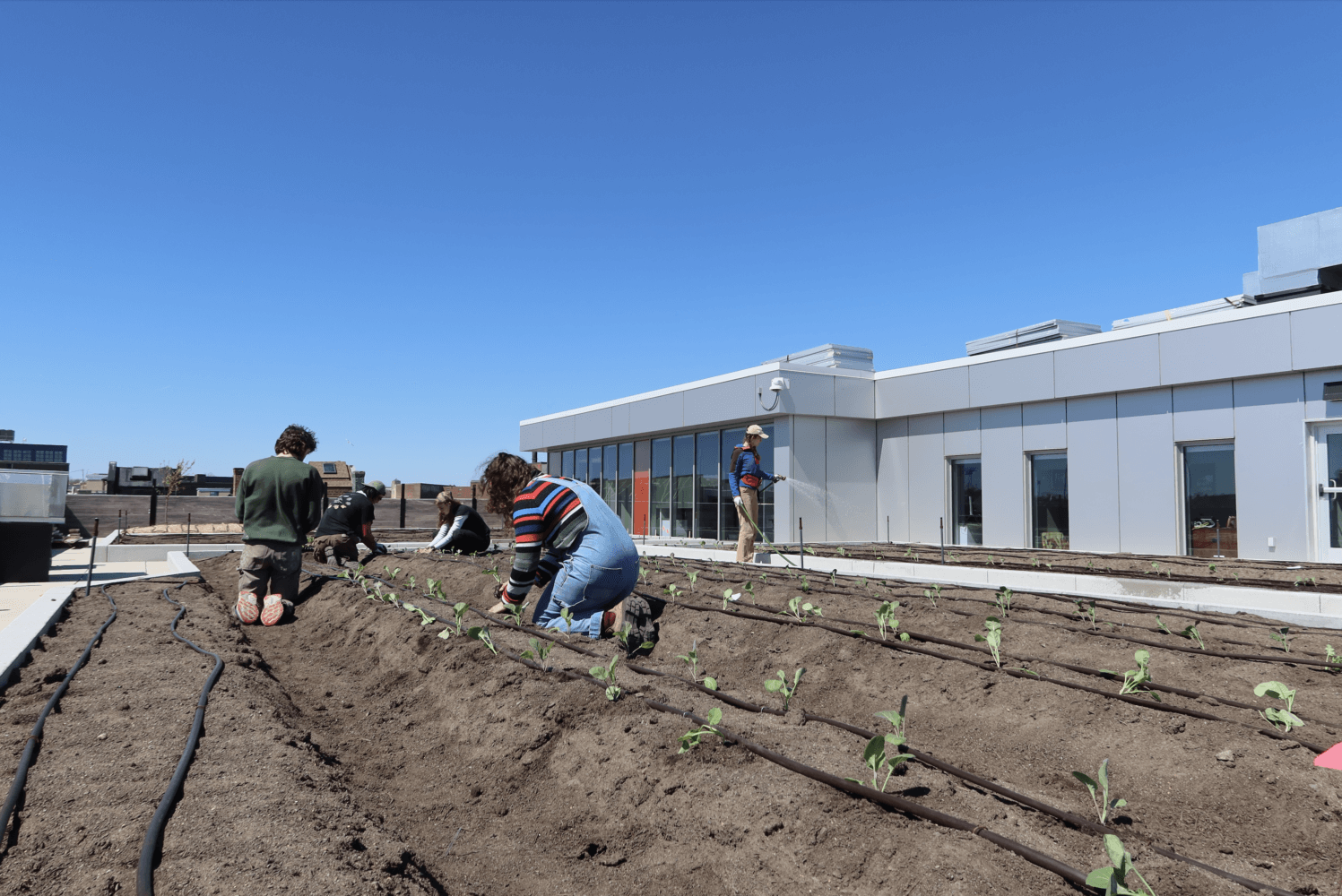 On the Ground With the Farms Feeding Hospitals and Their Patients ...